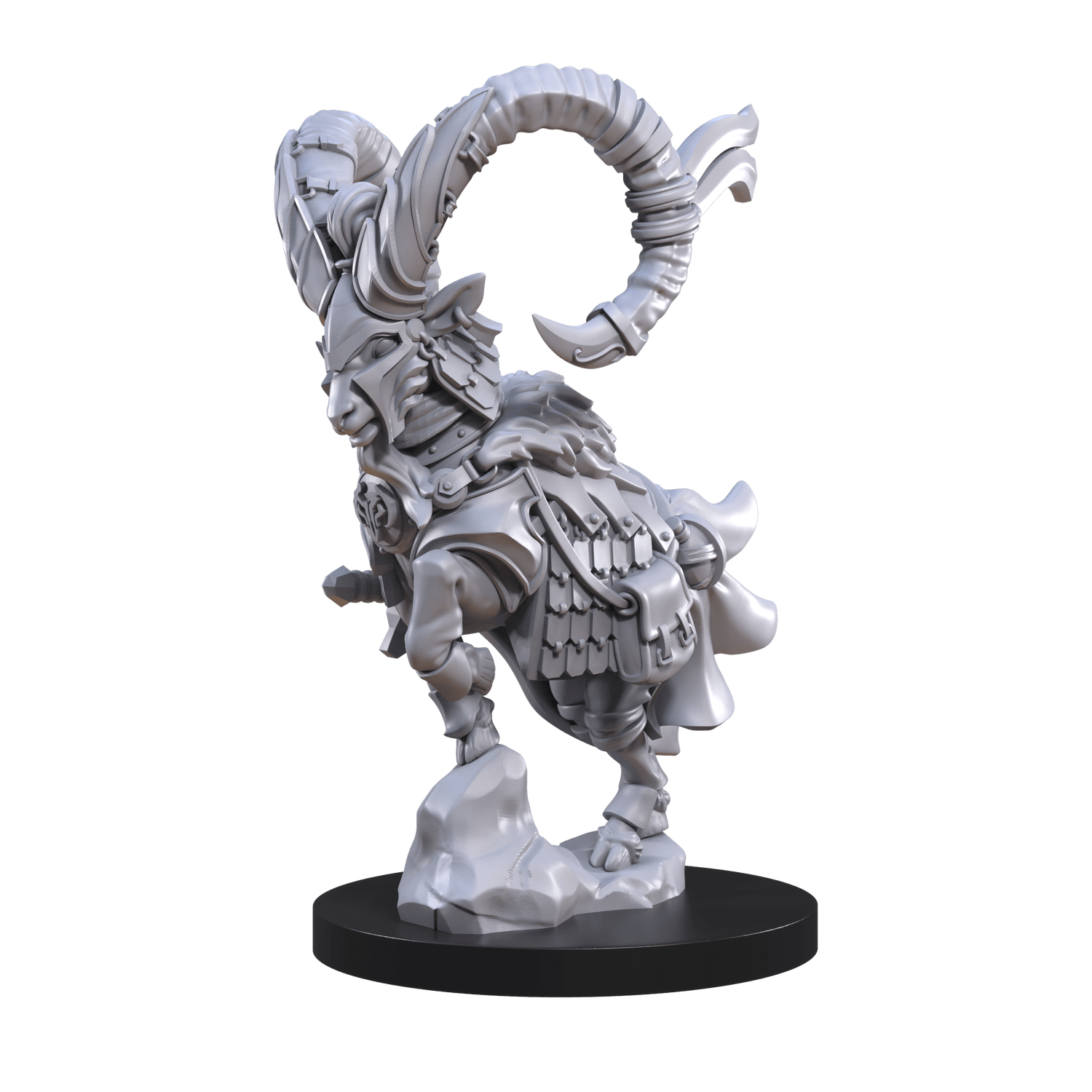 Animal Adventures: Animals of the Faraway Sea