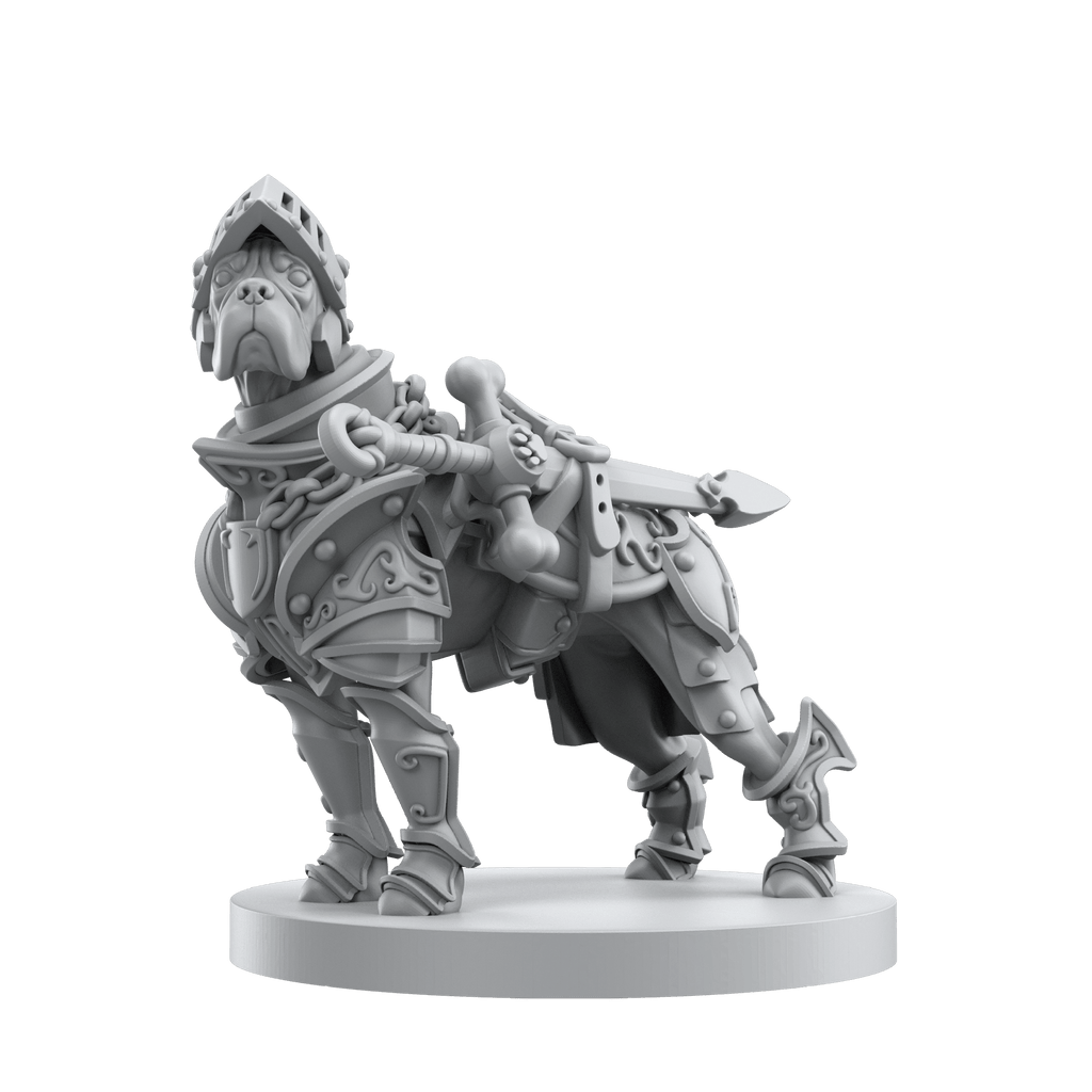 Animal Adventures™ Starter Set | Steamforged Games