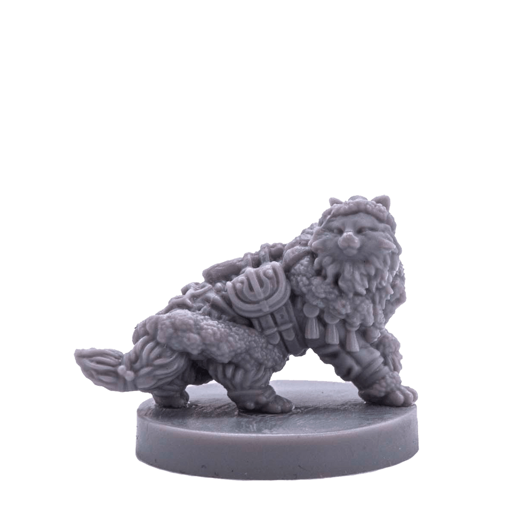 Animal Adventures: Cats of Gullet Cove